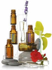 FREE doTERRA Essential Oil Sample - I Crave Freebies