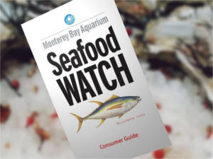 FREE Seafood Watch Consumer Guides - I Crave Freebies