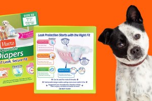 FREE Hartz Disposable Dog Diapers and Male Dog Wraps - I Crave Freebies